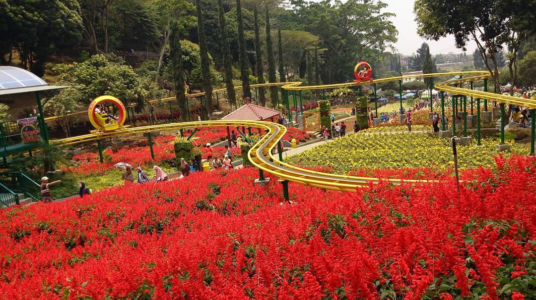 Pesona Kebun Bunga di Taman Selecta - Travelapak